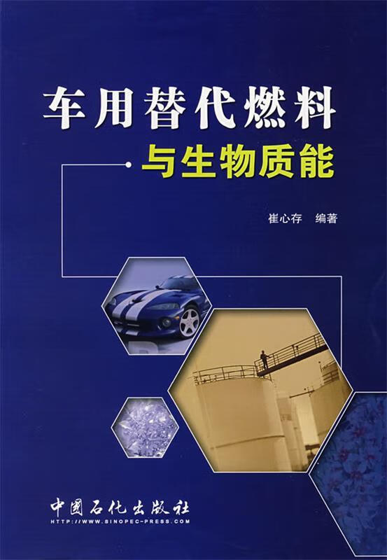 车用替代燃料与生物质能