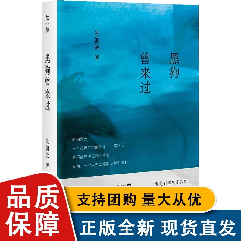 黑狗曾来过 朱朝敏著 生命意识 抑郁 治愈 广西师范大学全新