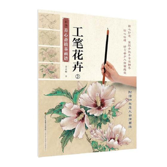 养心斋描摹画谱:3:工笔花卉 书籍