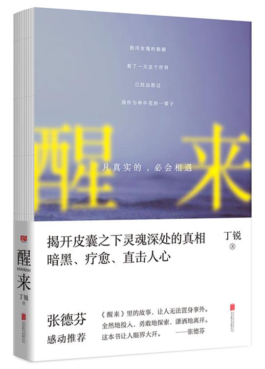醒来:凡真实的，必会相遇 丁锐