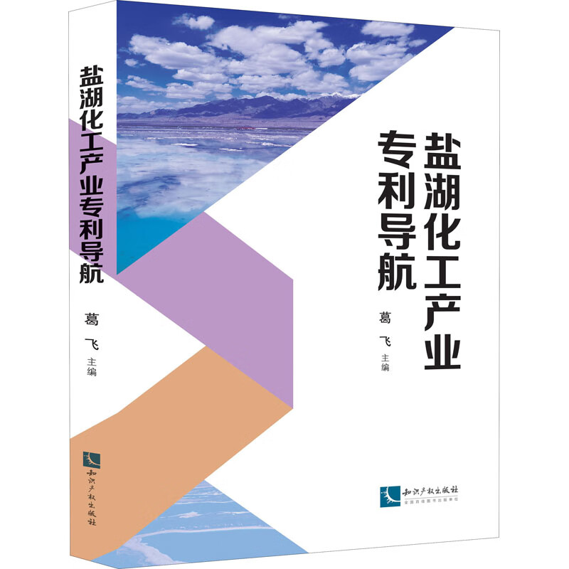 盐湖化工产业专利导航 葛飞 编 书籍