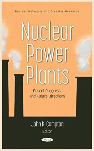 Nuclear Power Plants: Recent Progress and Future
