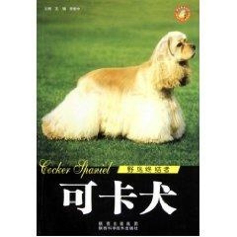 世界名犬-可卡犬