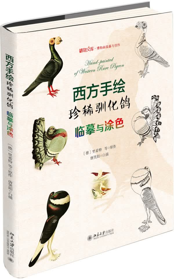 西方手绘珍稀驯化鸽：临摹与涂色 科普读物 (德)里希特原作 北京大学出版社 978730128685