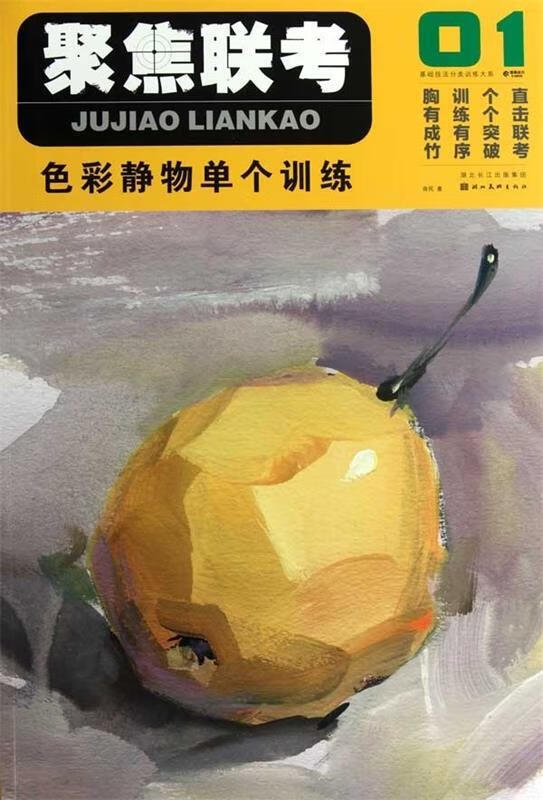 色彩静物单个训练 徐民 著