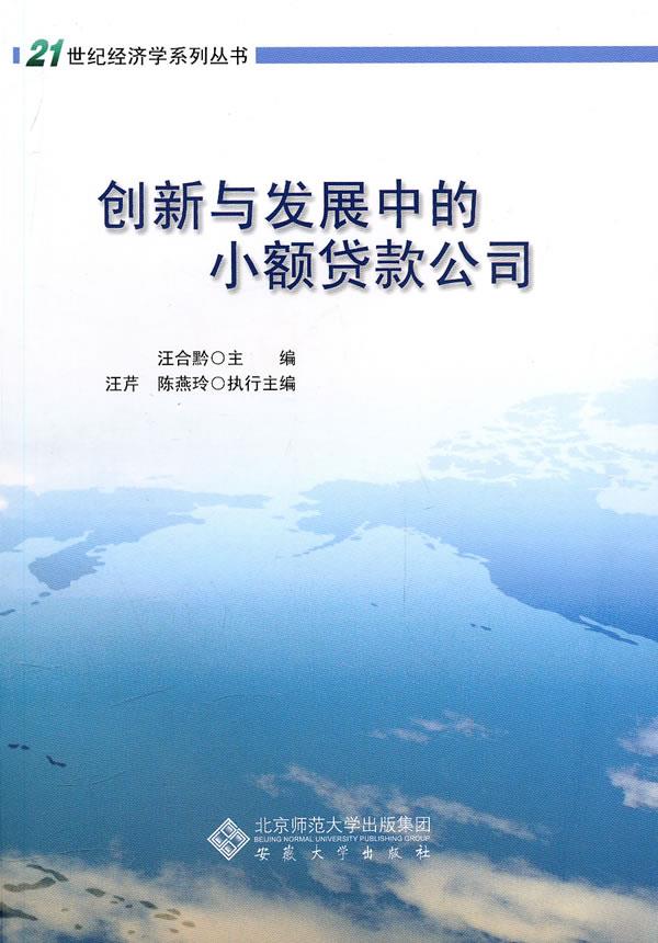 创新与发展中的小额贷款公司