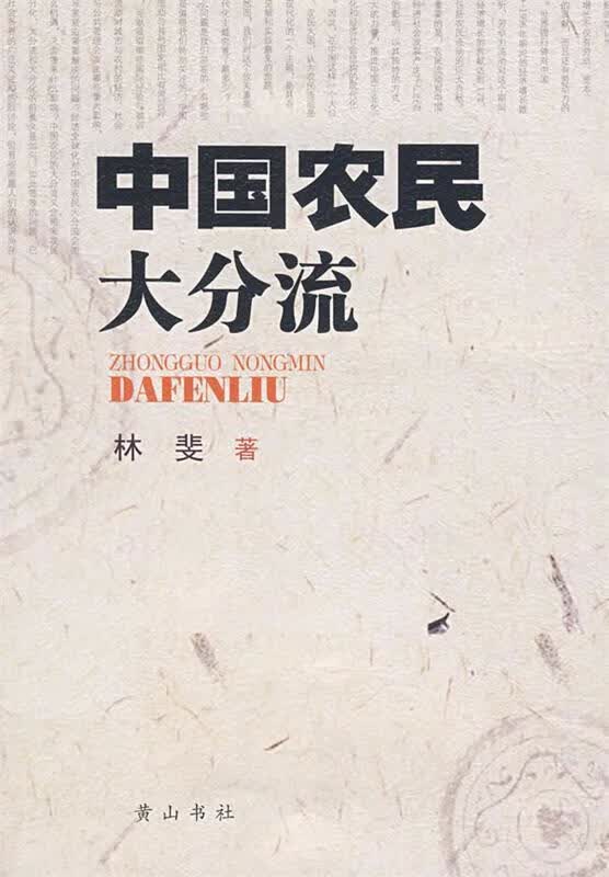 中国农民大分流 林斐 著