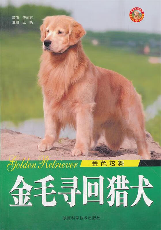 金毛寻回猎犬 王晓主编