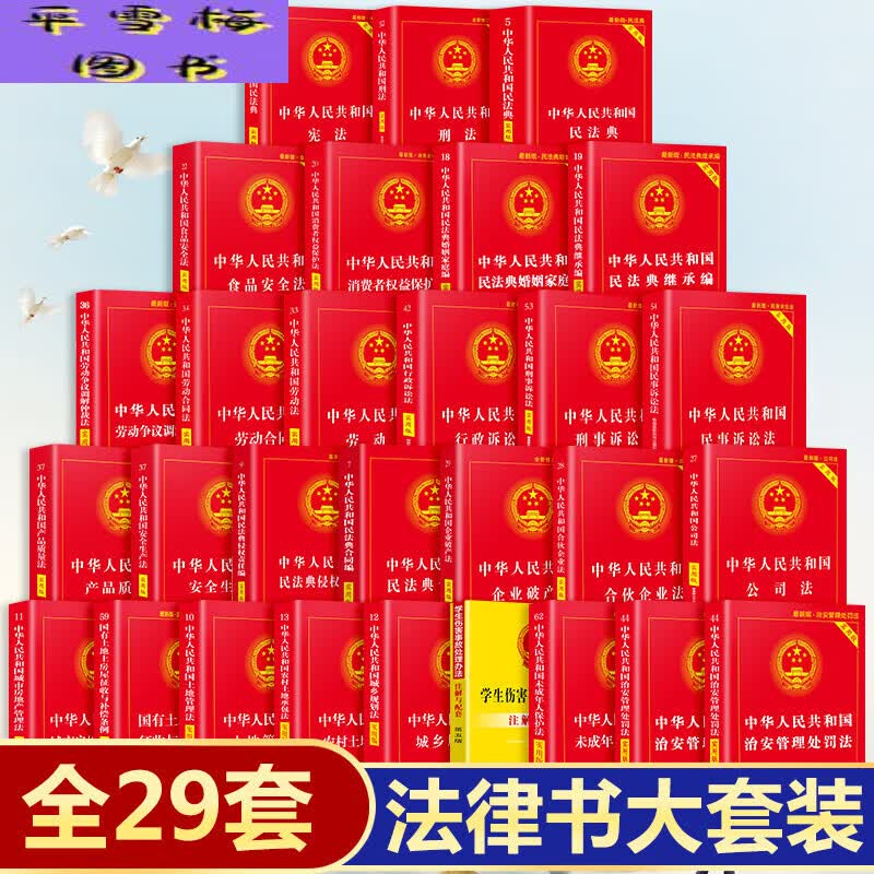 【全套29册】法律书籍全套 中国法制出版社实用版2022新版 中华人民共和国民法典刑法宪法劳动法行政民事 法行政民事