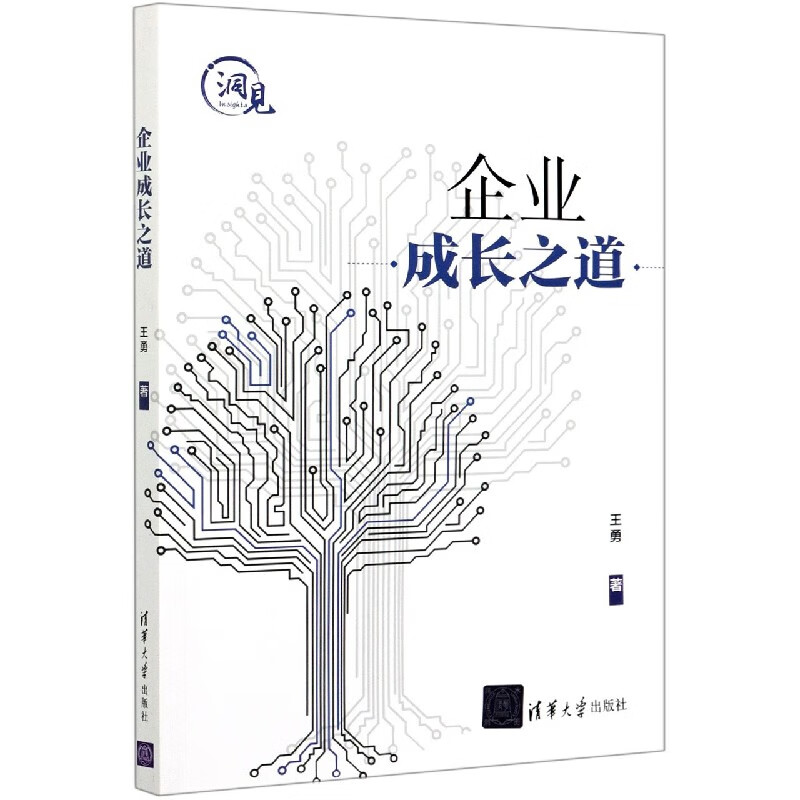 企业成长之道