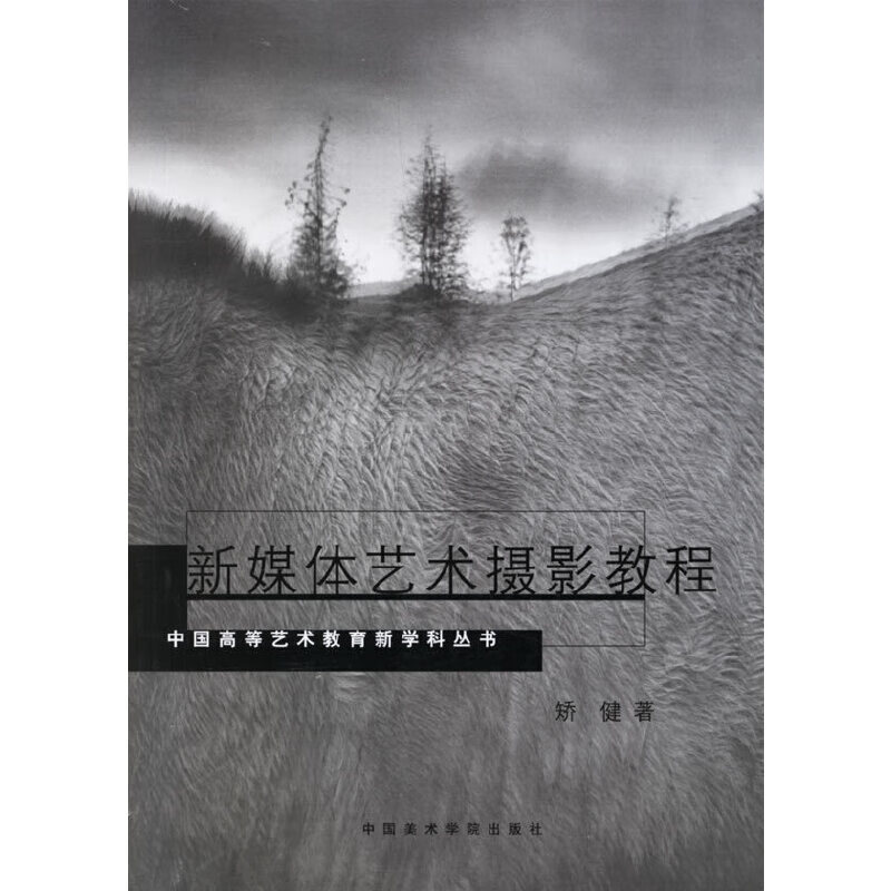 【现货】新媒体艺术摄影教程