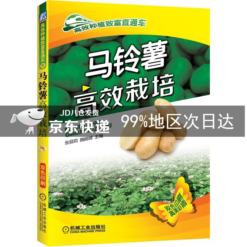马铃薯高效栽培
