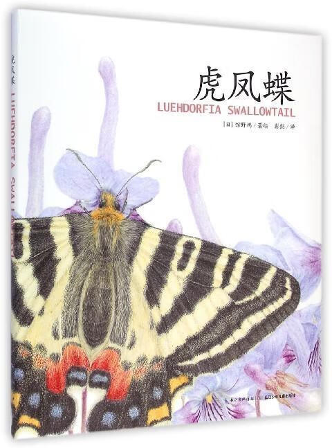 虎凤蝶【，放心购买】