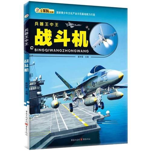 兵器中：战斗机