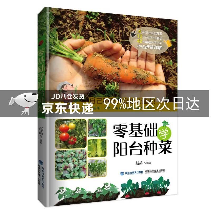 零基础学阳台种菜