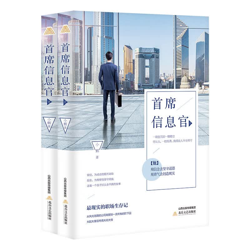首席信息官（上下册）