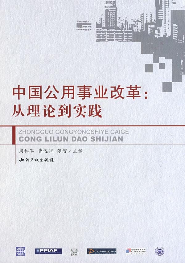 中国公用事业改革:从理论到实践