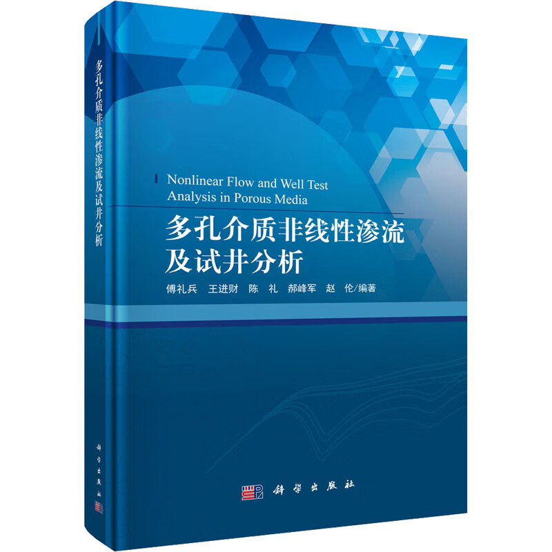 多孔介质非线性渗流及试井分析 图书