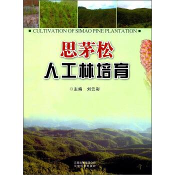 思茅松人工林培育