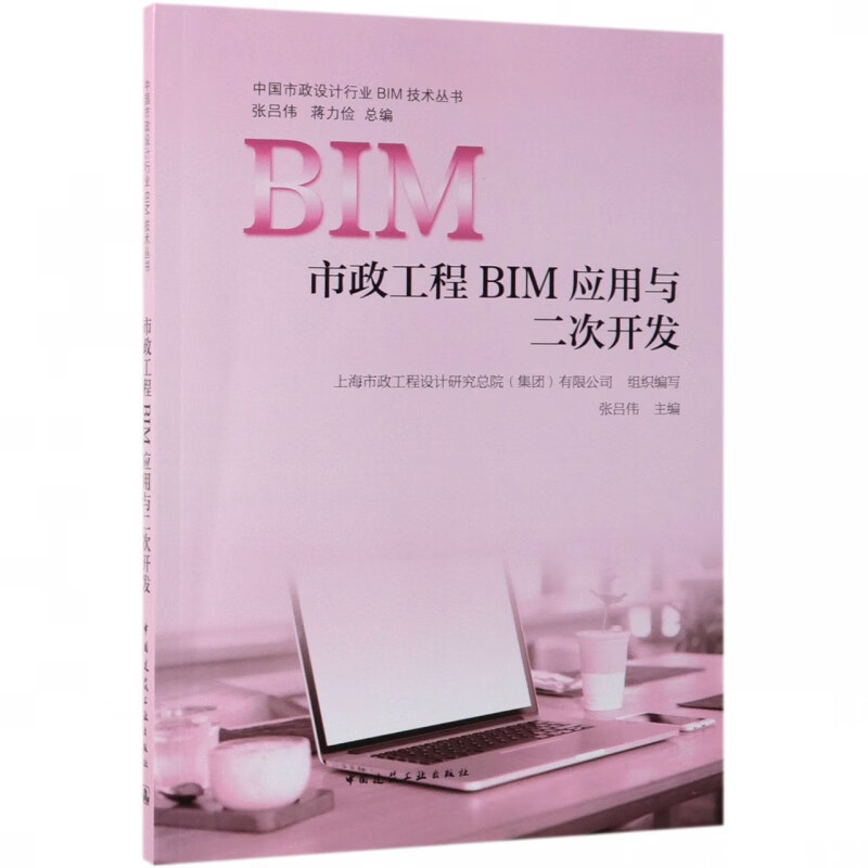 市政工程BIM应用与二次开发/中国市政设计行业BIM技术丛书