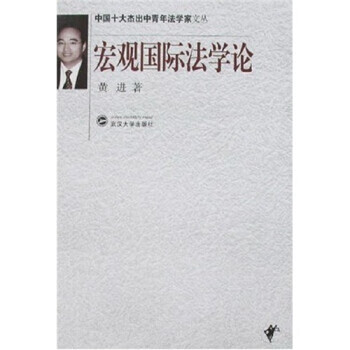 宏观国际法学论 黄进