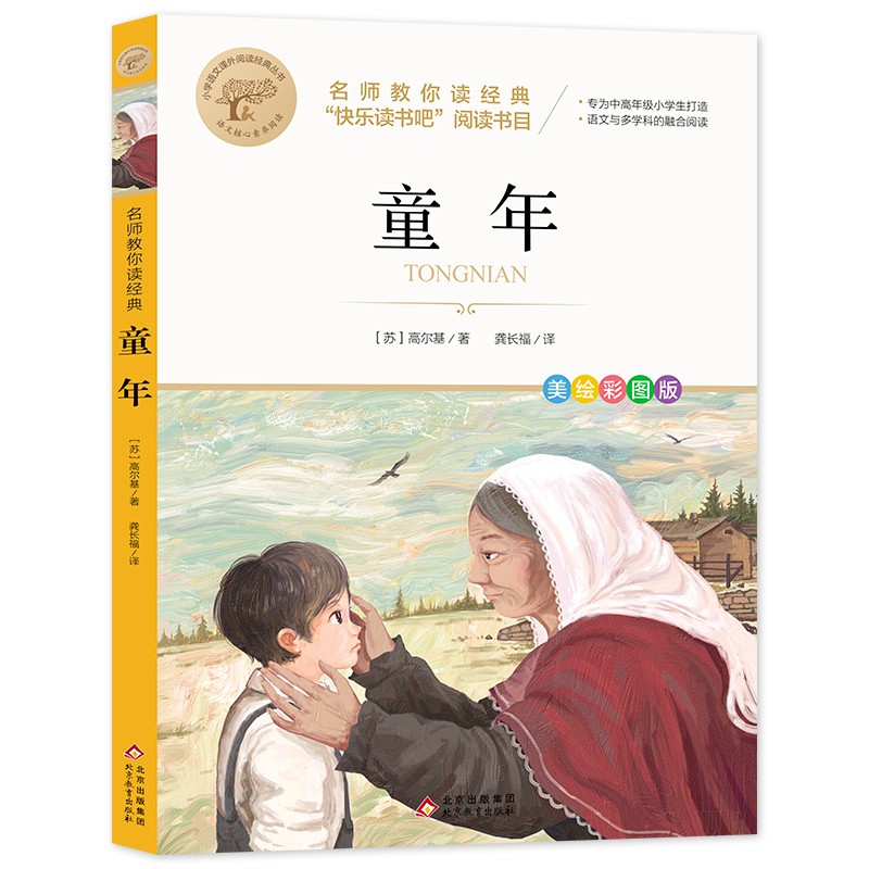 童年 快乐读书吧六年级上推荐书目 名师教你读经典系列