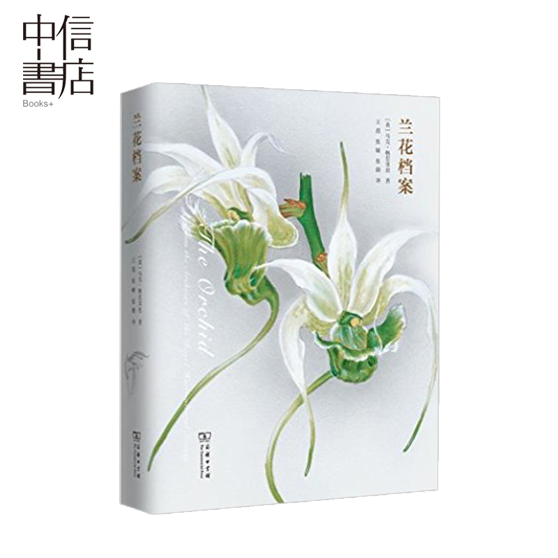 兰花档案