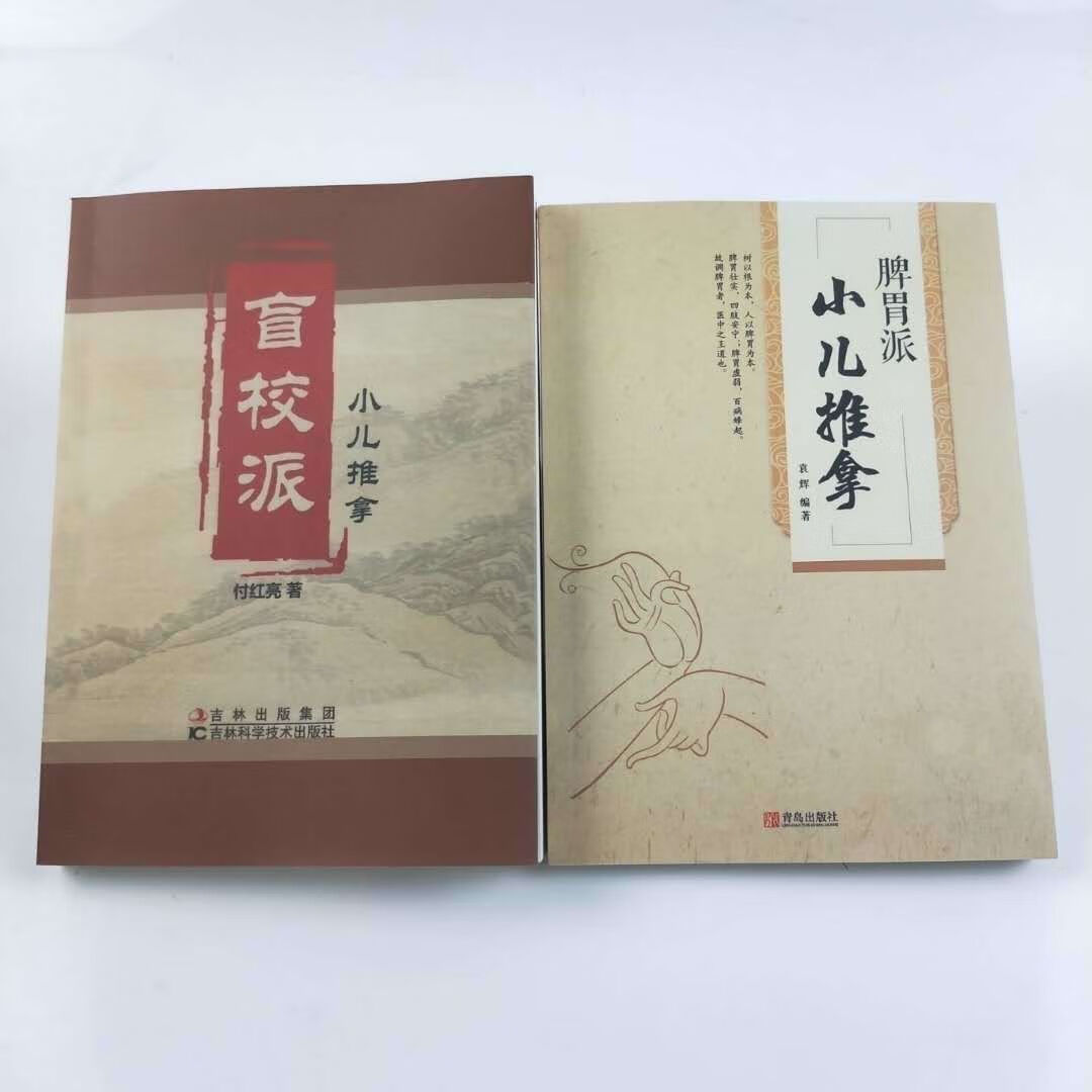 脾胃派小儿推拿 袁辉编著 盲校派小儿推拿 付红亮