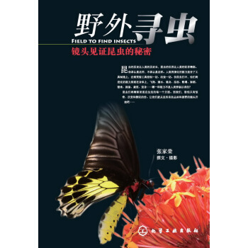 野外寻虫--镜头见证昆虫的秘密