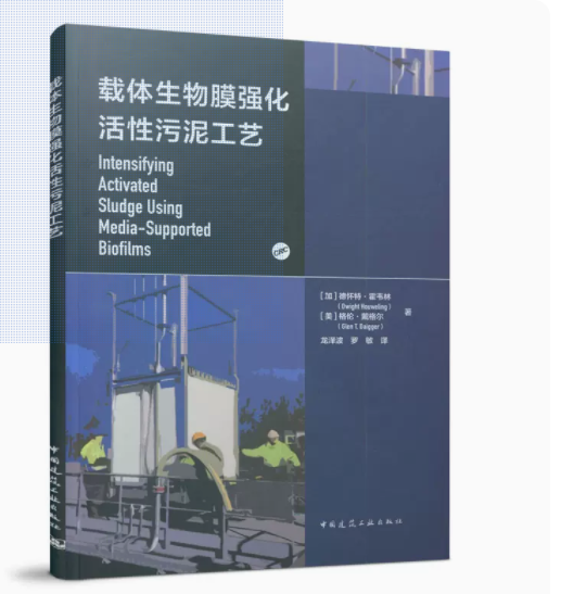 载体生物膜强化活性污泥工艺