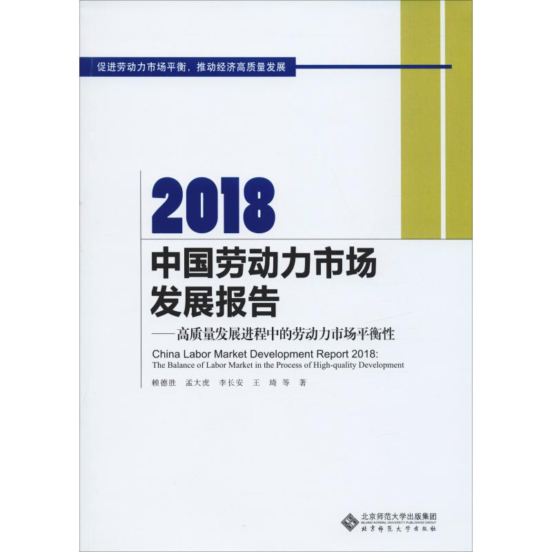2018中国劳动力市场发展报告——高质量发展进程中的劳动力市场平衡性