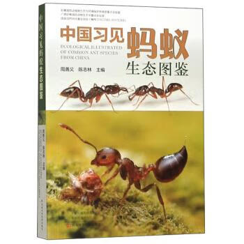 【S】 中国习见蚂蚁生态图鉴 周善义,陈志林 河南科学技术出版社 9787534996979