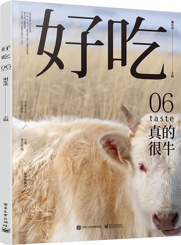 【R】好吃06 谢安冰 电子工业出版社 9787121420276