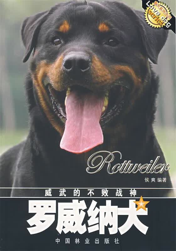 威武的不败战神:罗维纳犬