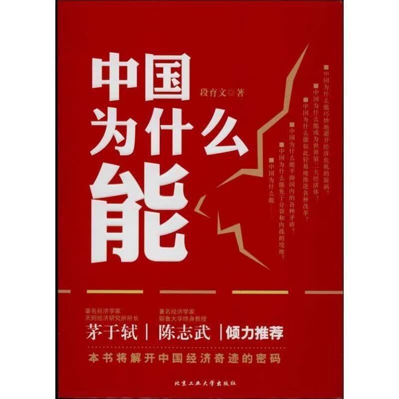 中国为什么能 段育文
