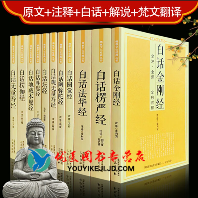 佛学文化经典全套11册 原文注释译文白对照白话法华经楞伽经楞严经圆觉经观无量寿经坛经金刚经地藏本愿经佛教十三经了凡四训书籍 佛经全套11本