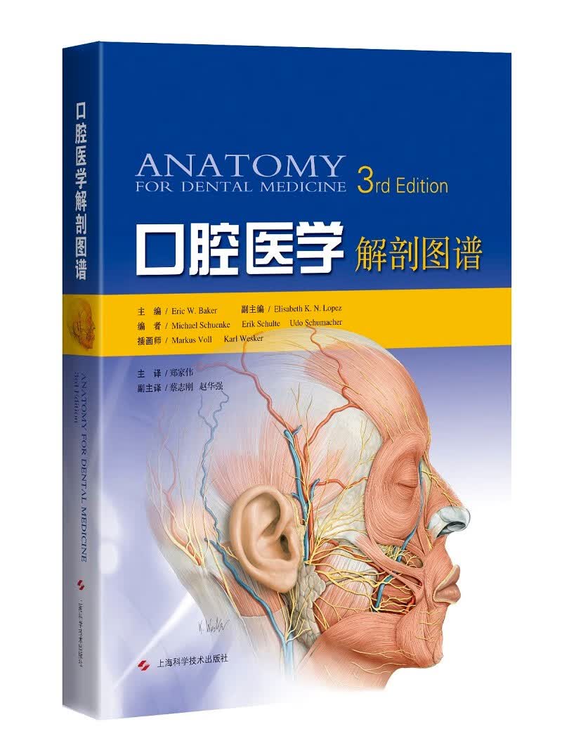 口腔医学解剖图谱