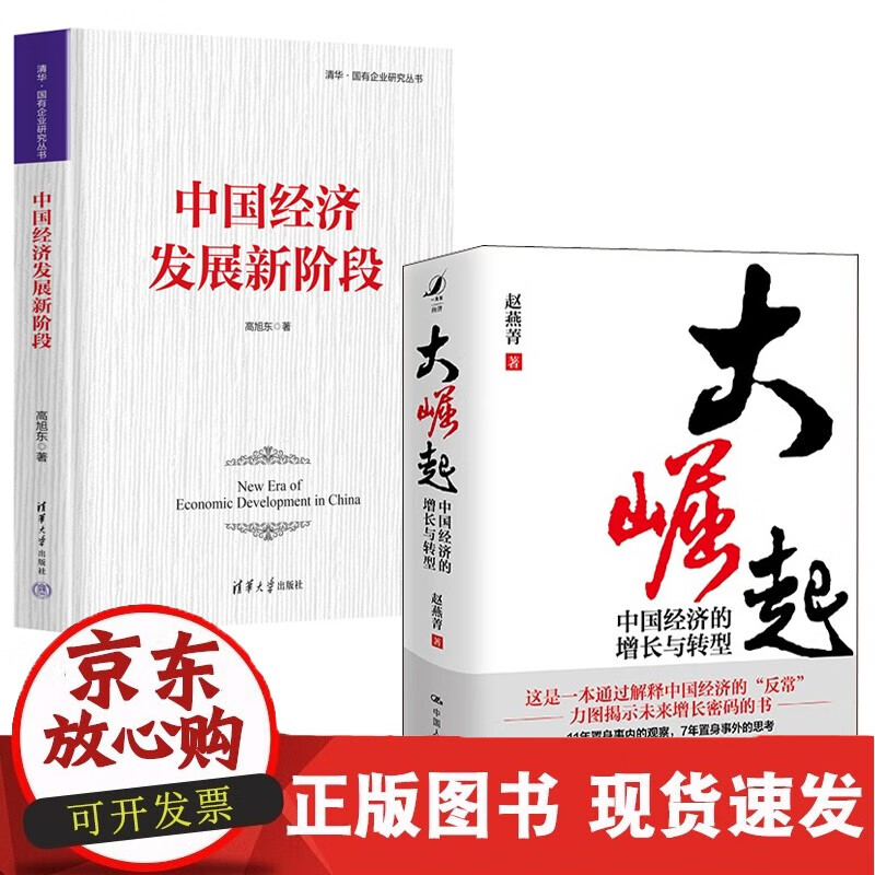 【全2册】大崛起中国经济的增长与转型赵燕菁中国经济发展新阶