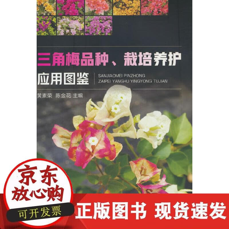 【现货】三角梅品种、栽培养护应用图鉴