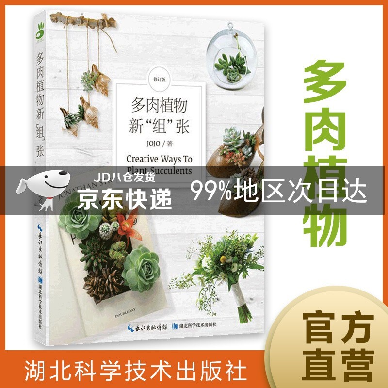 多肉植物新“组”张