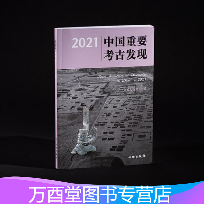 2021中国重要考古发现 另荐2022 2020 2019 2018 2017 2016 2015 2014 2013 2012 2011 2010 2009 2008 2007 2006 2003