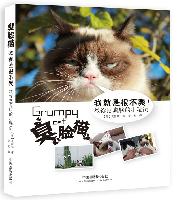 臭脸猫-我就是很不爽!/摄影/书籍