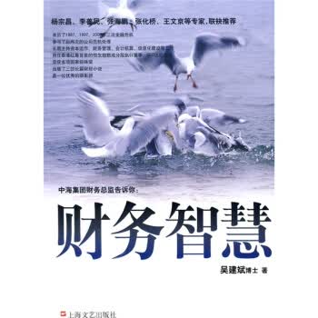 财务智慧 吴建斌 著