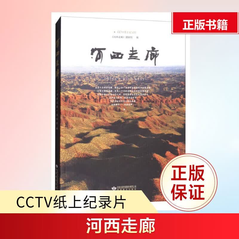 河西走廊 CCTV纸上纪录片 丝绸之路历史讲解中外文化战略地位 中国人一生要走一趟的地方 丝绸之路人文历史地理景观素材书籍