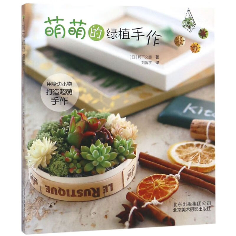 萌萌的绿植手作