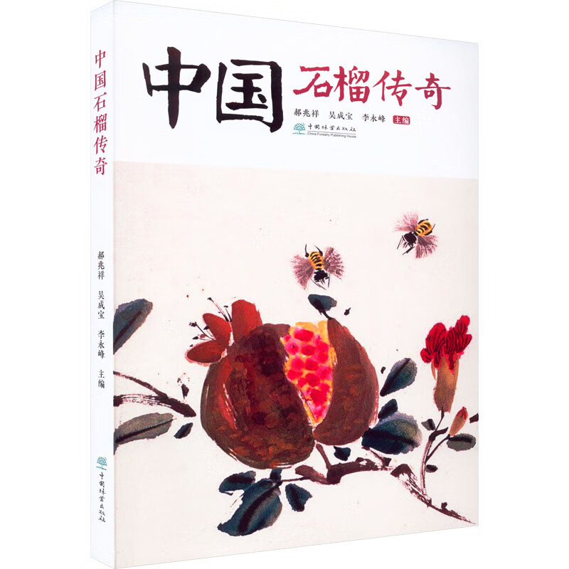 中国石榴传奇 图书