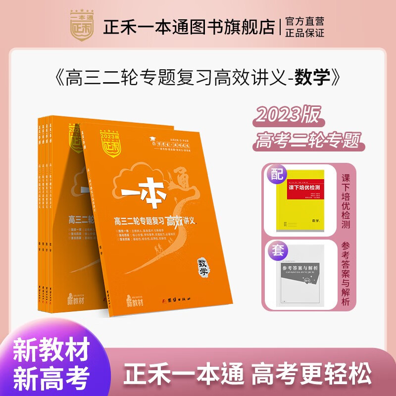 2023新版正禾一本通高三二轮专题复习高效讲义 数学2023年高考高三复习用书 中学教辅高中高考数学复习资料 新教材 老教材文科 新教材新高考区域（包含省份参考详情页）