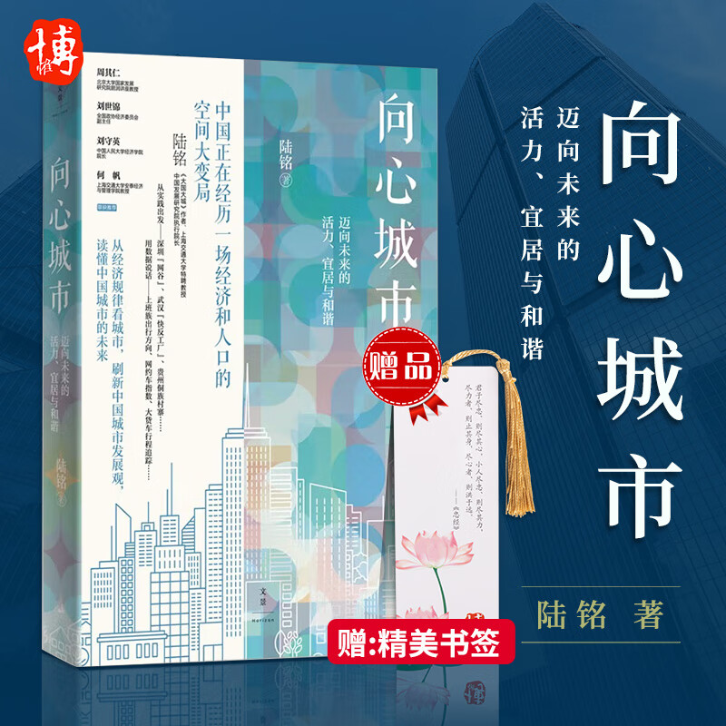 向心城市：迈向未来的活力、宜居与和谐 大国大城姐妹篇 陆铭作品 中国城市建设研究9787208176669上海人民出版社