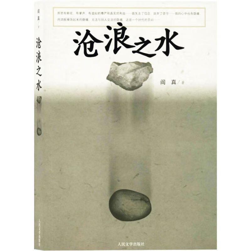 沧浪之水 阎真 著 人民文学出版社