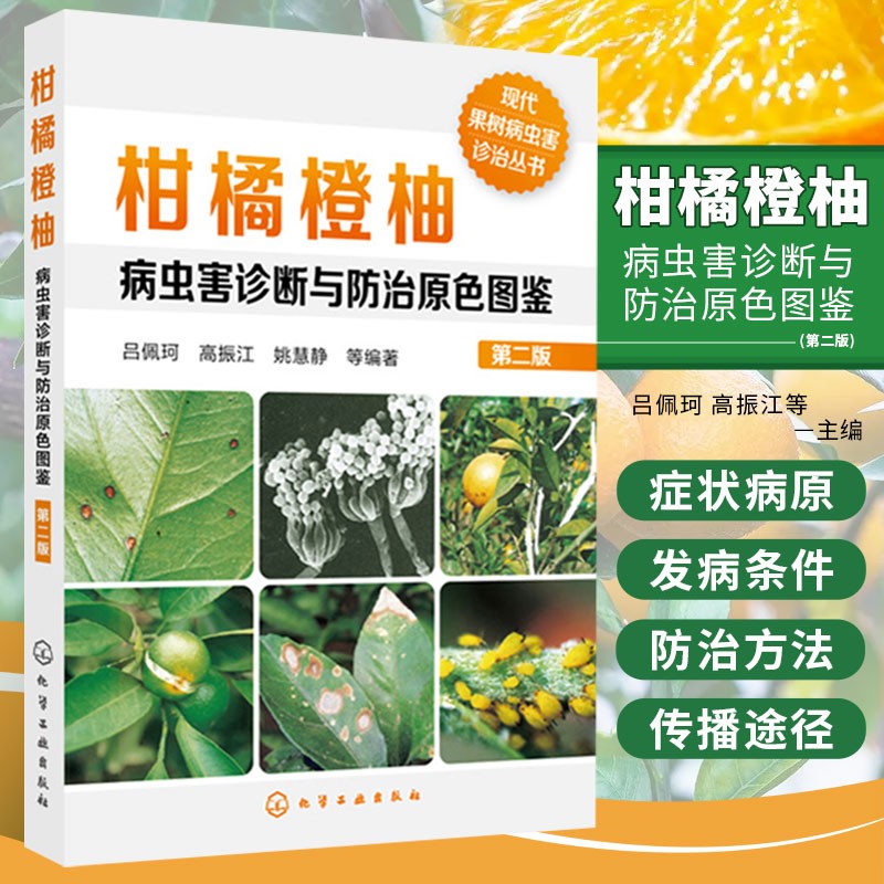 柑橘橙柚病虫害诊断与防治原色图鉴 现代果树病虫害诊治丛书 第二版 砂糖橘橙子芦柑柚子树澳洲赣南脐橙果树虫害防治 柑橘橙柚常见疾病诊断 柑橘橙柚用药指南 果树种植栽培技术实用工具书 化学工业出版社
